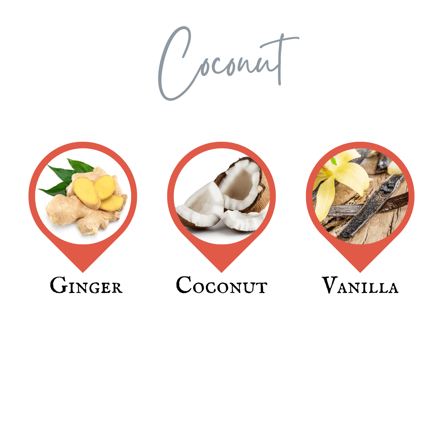 Coconut products - Lottie Elizabeth Ltd